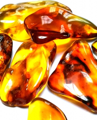 Polished Baltic Amber Tumblestones